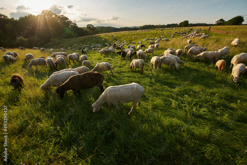 Highlights – MR Création Website